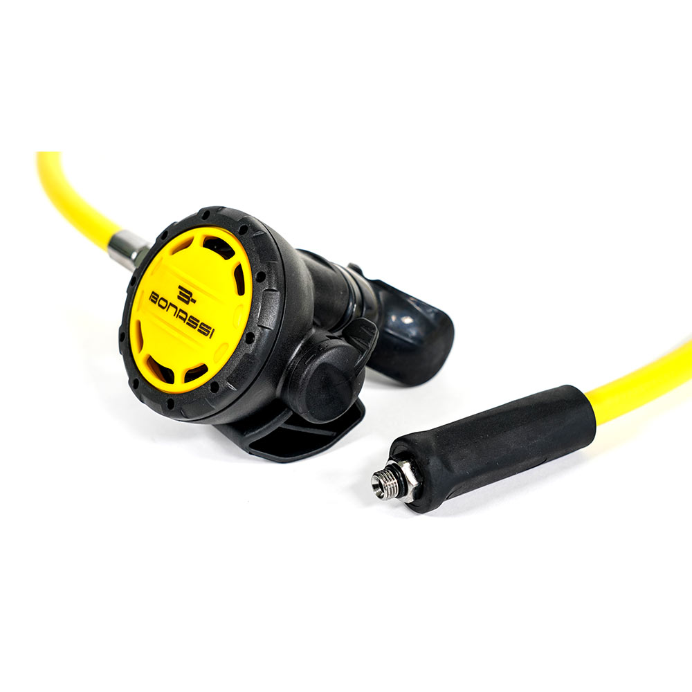 Octopus Archives - Magna Divers