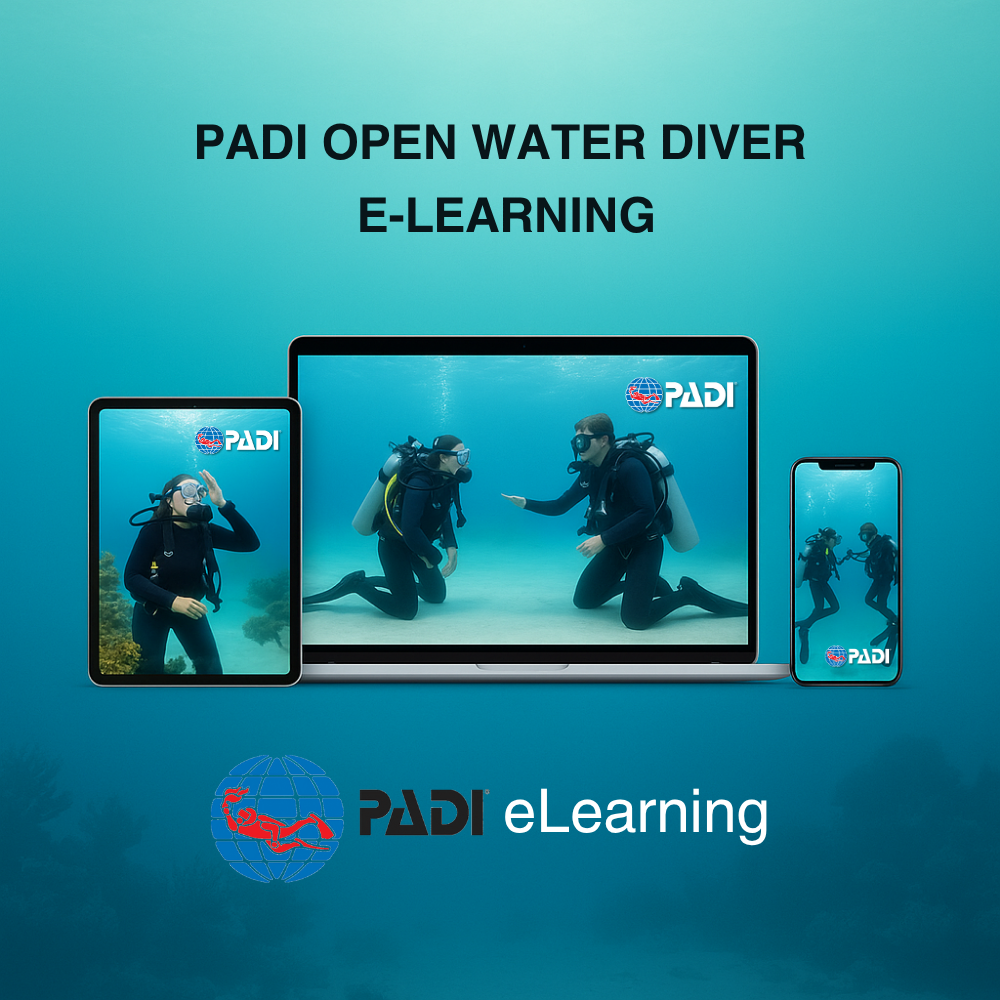 Beginner Dive Courses | PADI Open Water Online