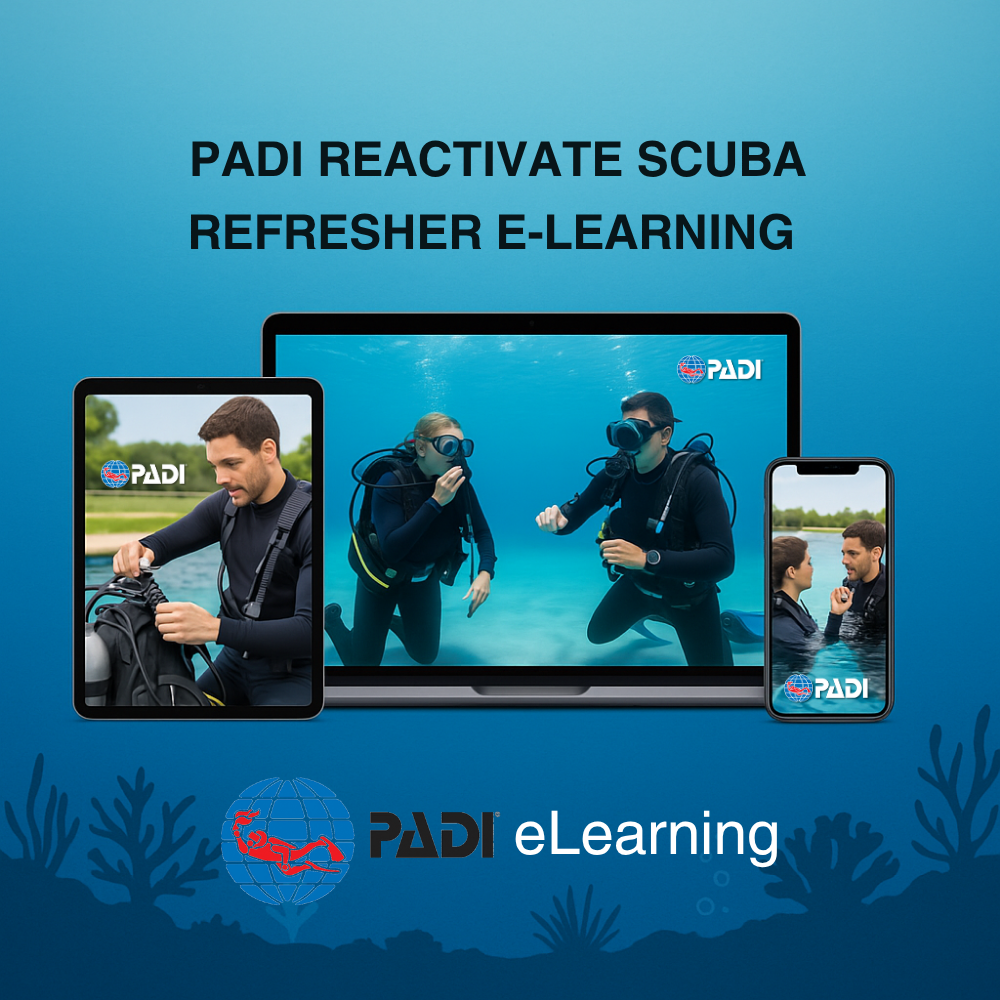 PADI ReActivate Course | PADI-Certified Dive Courses